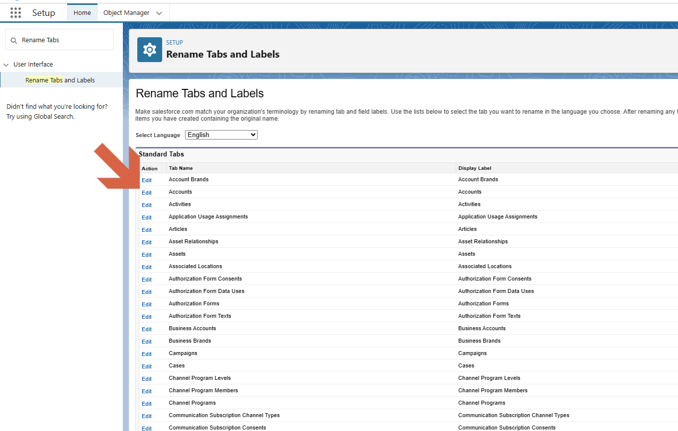 Salesforce setup rename tabs and labels